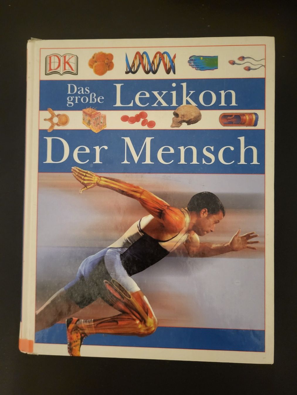 Das grosse Lexikon Der Mensch DK Verlag Universität, Medizin (Gebraucht ...
