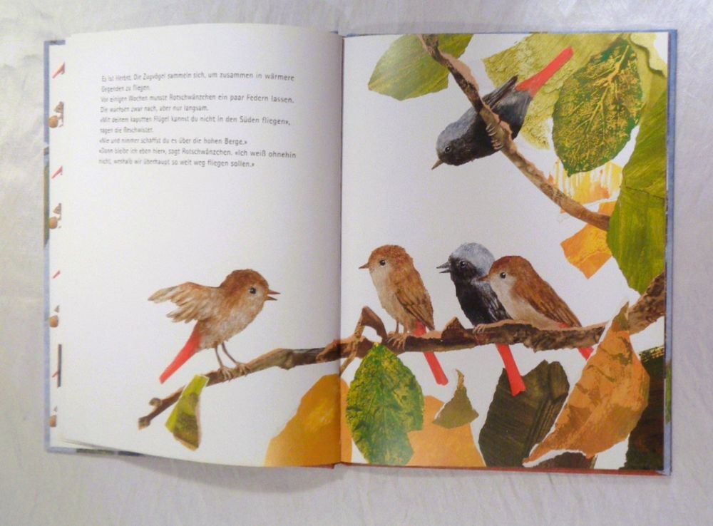 Vogel Rotschwänzchen was machst hier im Schnee? Bilderbuch (Gebraucht ...