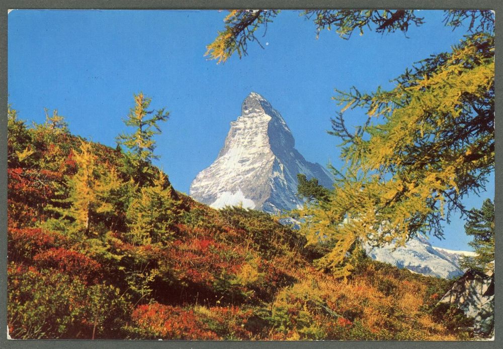 AK color Zermatt mit Matterhorn ≈ 1965 | Kaufen auf Ricardo