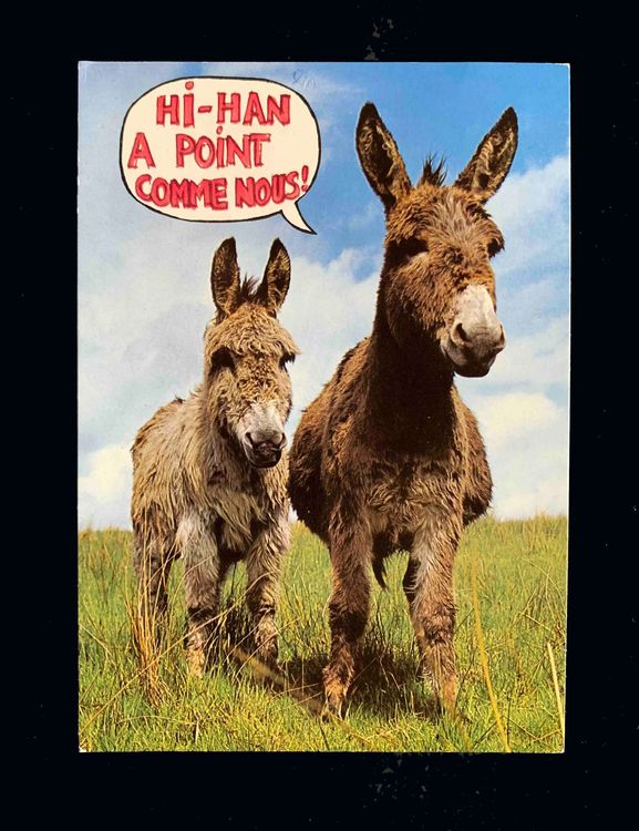 AK HI-HAN A POINT COMME NOUS Esel Humor | Kaufen auf Ricardo