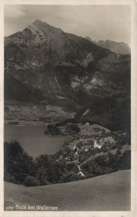 Mols am Wallensee | Kaufen auf Ricardo