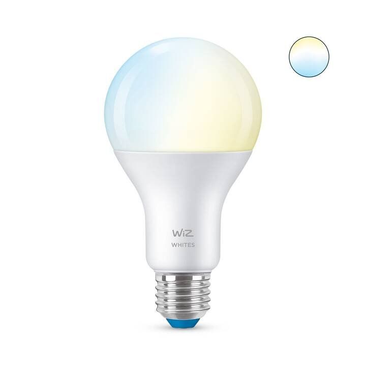 WIZ LED Smart Lighting E27 WLAN Bluetooth 13 W | Kaufen auf Ricardo