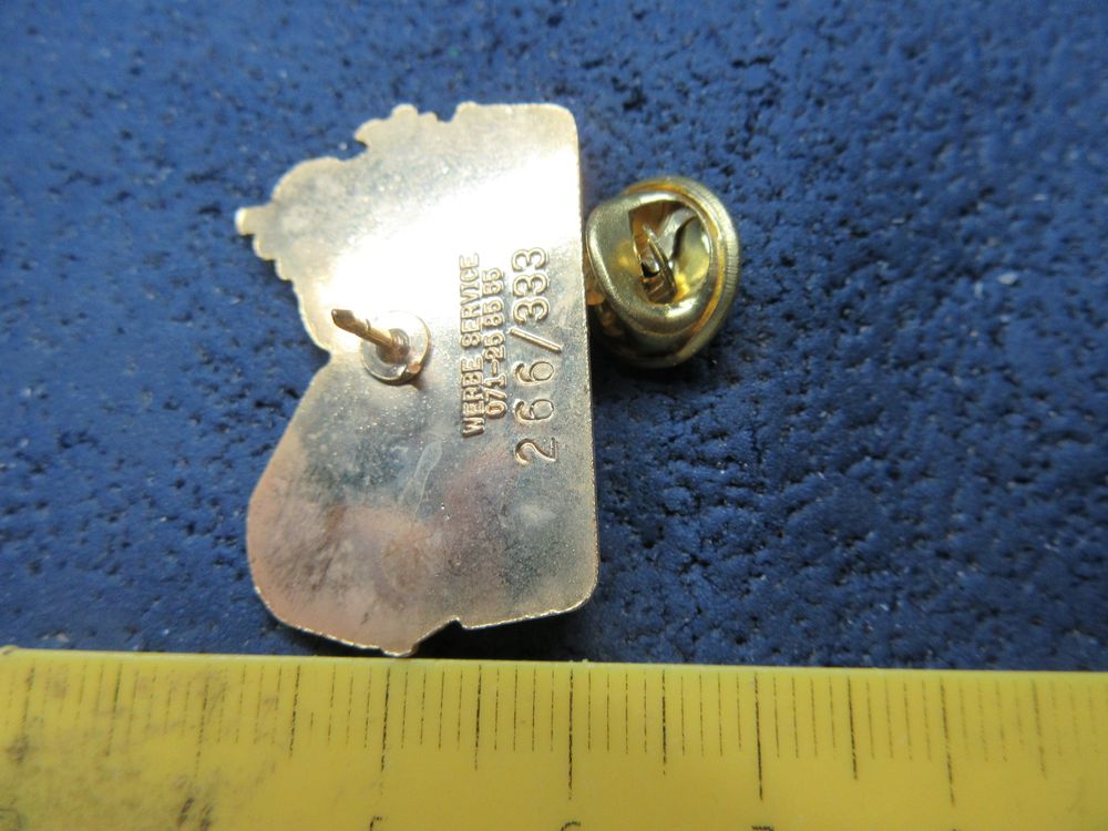 BAHN SCHWEIZ PIN 1869-1994 125JAHRE ROMANSHORN-RORSCHACH LIM (Gebraucht ...