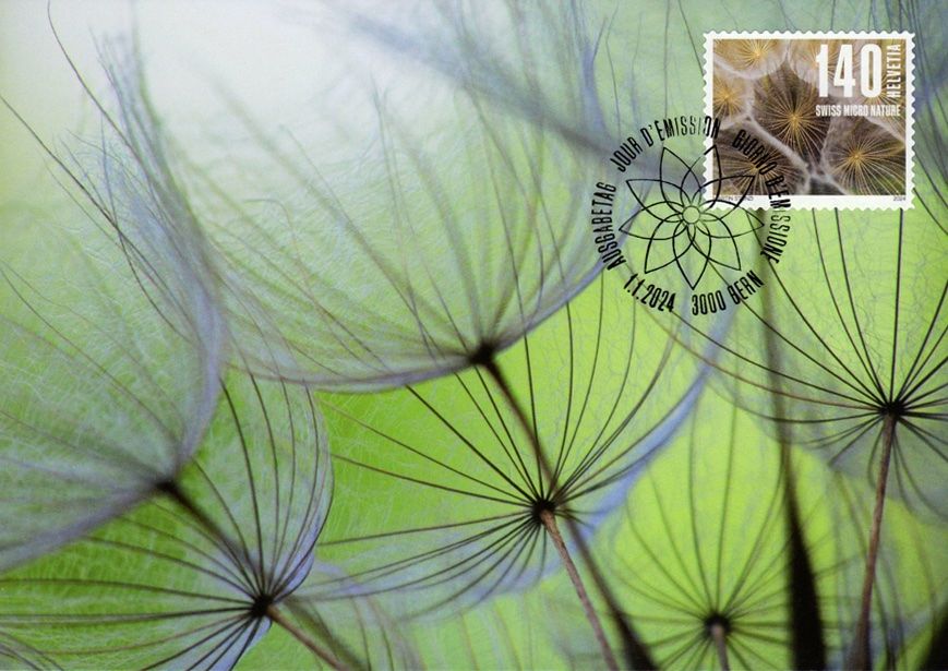 Maximumkarte Naturmuster - Samenstand | Kaufen auf Ricardo