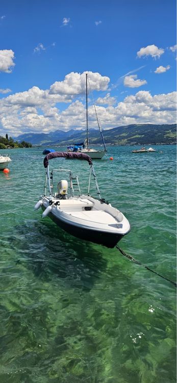 Motorboot Terhi Sea Fun 501 mit 8PS Motor (Gebraucht) in Hombrechtikon ...
