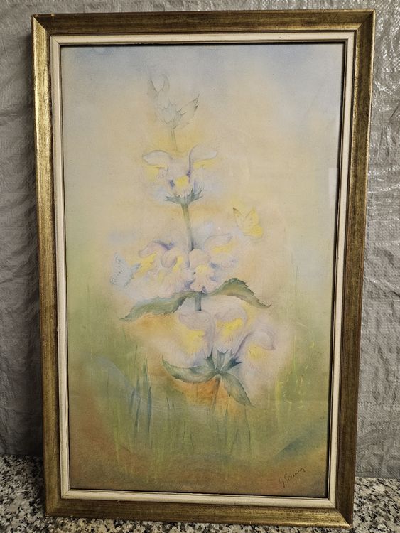 Aquarelle | Kaufen auf Ricardo