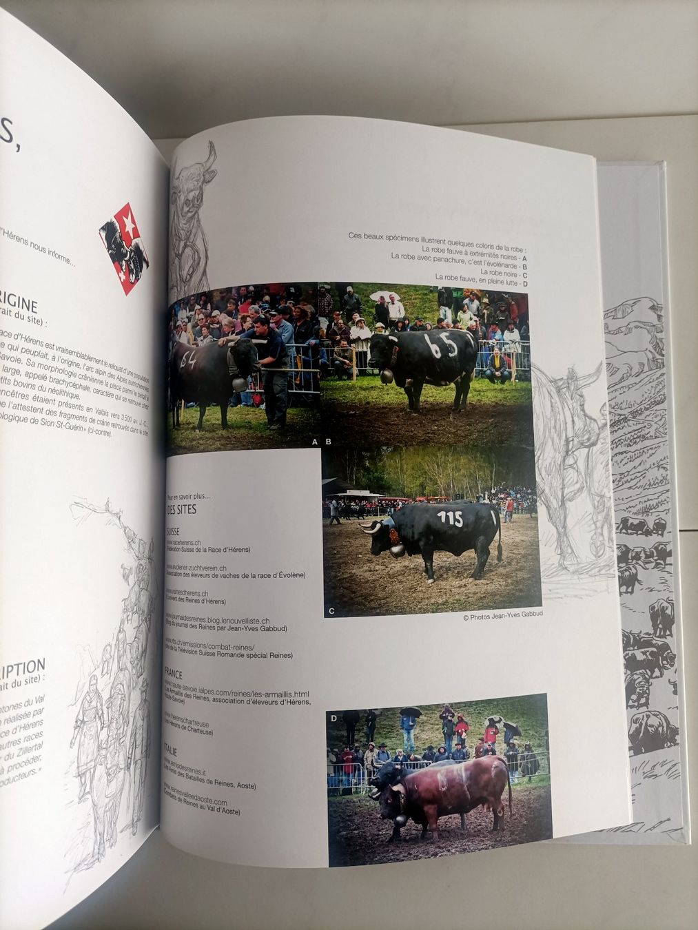 BD Tu seras reine / Vaches d'Hérens / Derib / AS 10/2012 (D'occasion) à ...