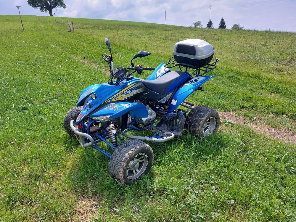 Quad Shineray Spider 250 | Kaufen auf Ricardo