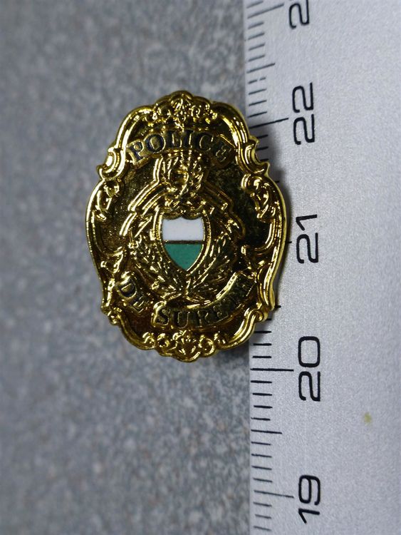 PIN POLIZEI POLICE Wappen Kanton | Kaufen auf Ricardo