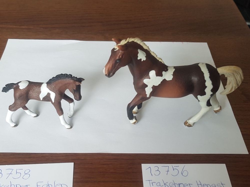 Schleich Tiere Pferde, Trakehner Hengst&Fohlen, 13756 &13758 (Gebraucht) in Beinwil am See für ...