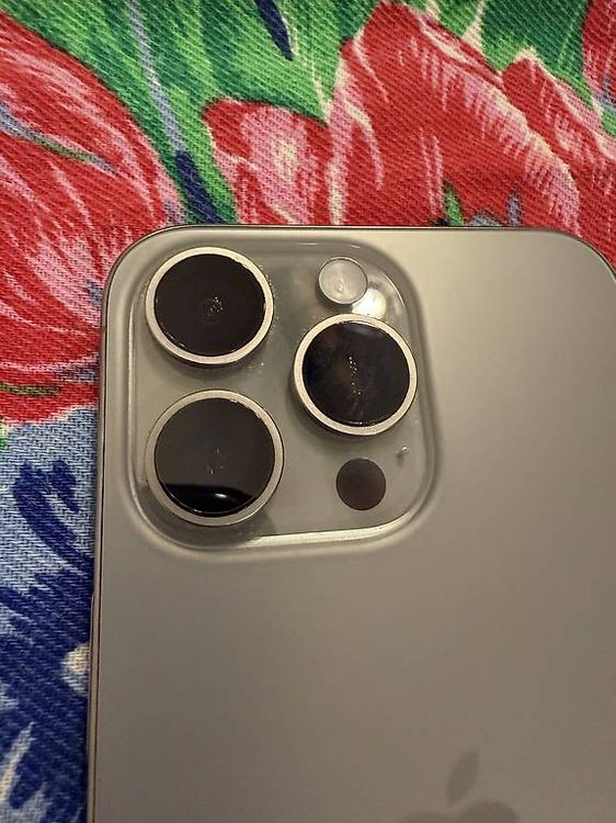 iPhone 15 Pro Max 256 GB ? Perfette condizioni (Usato) a Viganello per ...