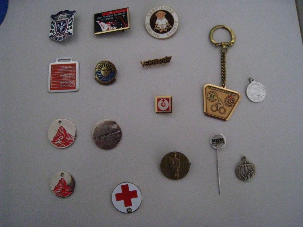 Diverse Pins Kaufen Auf Ricardo
