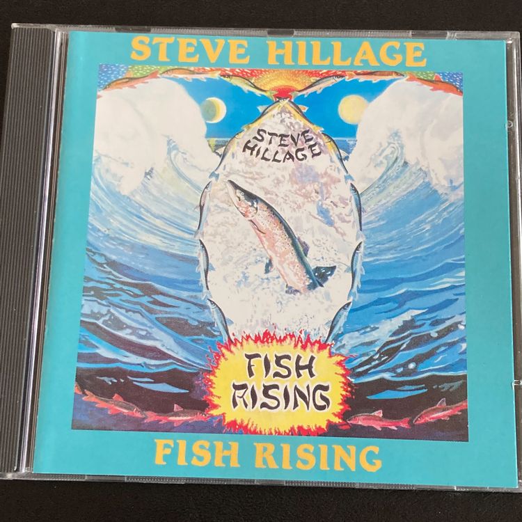 Steve Hillage - Fish Rising (Gebraucht) in Bern für CHF 5.9 – mit ...