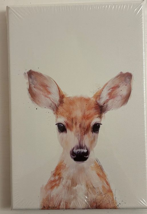 Bild auf Leinwand gezogen Little Deer Reh von Amy Hamilton (Neu und ...