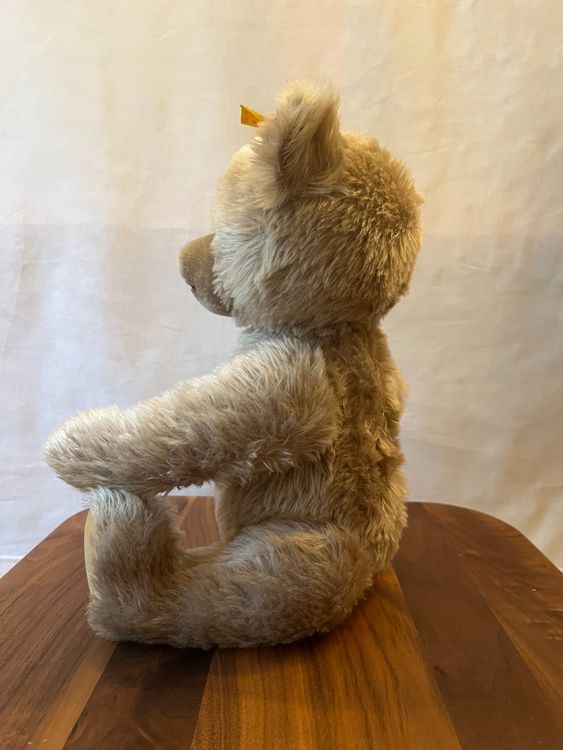 Echter Steiff Teddy (80er Jahre) (Gebraucht) in Zürich für CHF 55 – mit ...