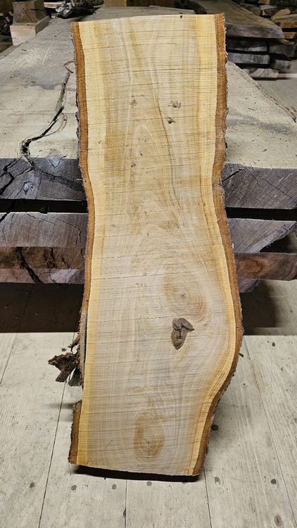 kirschbaum brett (Gebraucht) in für CHF 21 – nur Abholung auf Ricardo ...