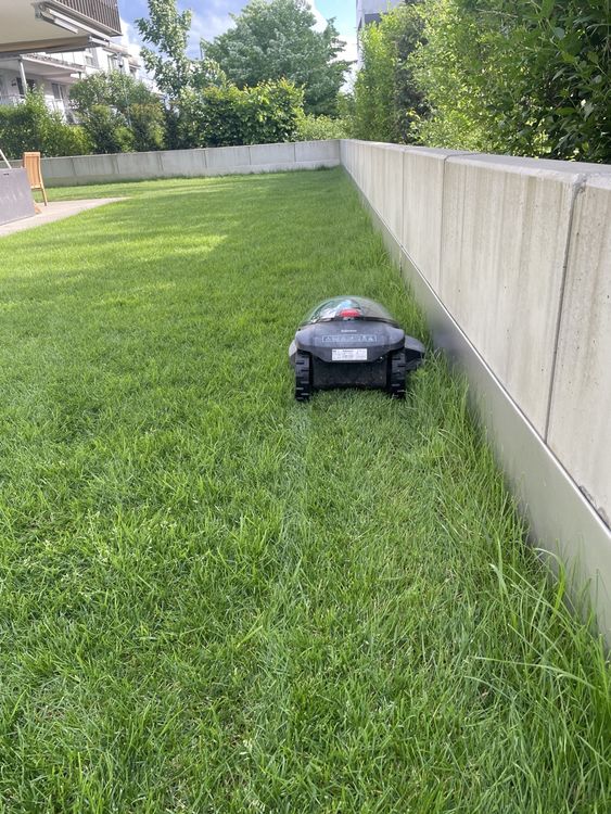 Roboter Rasenmäher Robomow (Gebraucht) in Bassersdorf für CHF 146 – mit ...