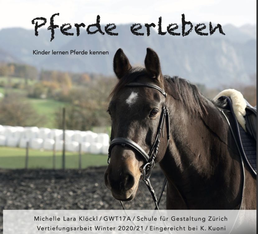 Pferde erleben: Kinderbuch über Pferde (NEU) (Neu (gemäss Beschreibung ...
