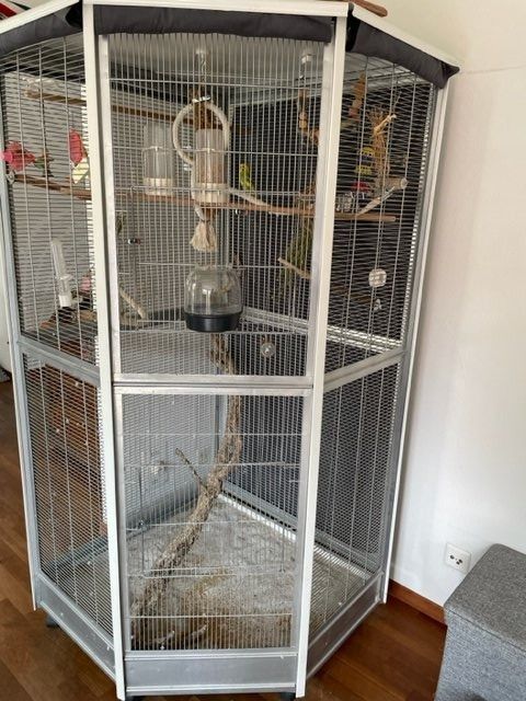 Grosszügige Voliere für Wellensittiche oder ähnliche Vögel (Gebraucht ...