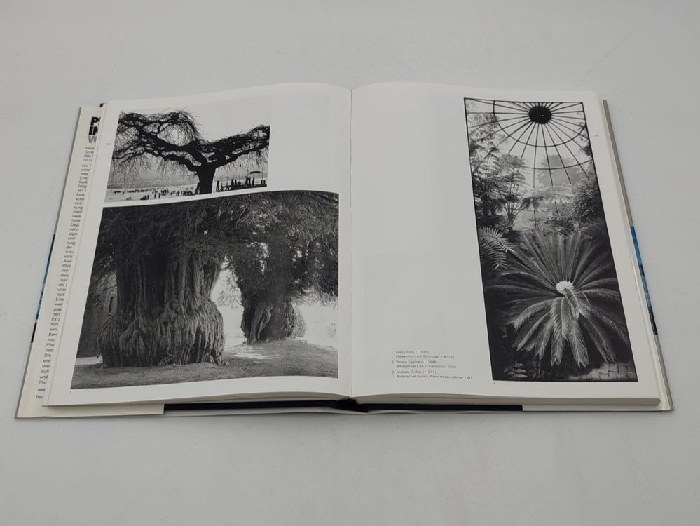 Buch Photographie in der Schweiz von 1840 bis heute, Benteli (Gebraucht ...