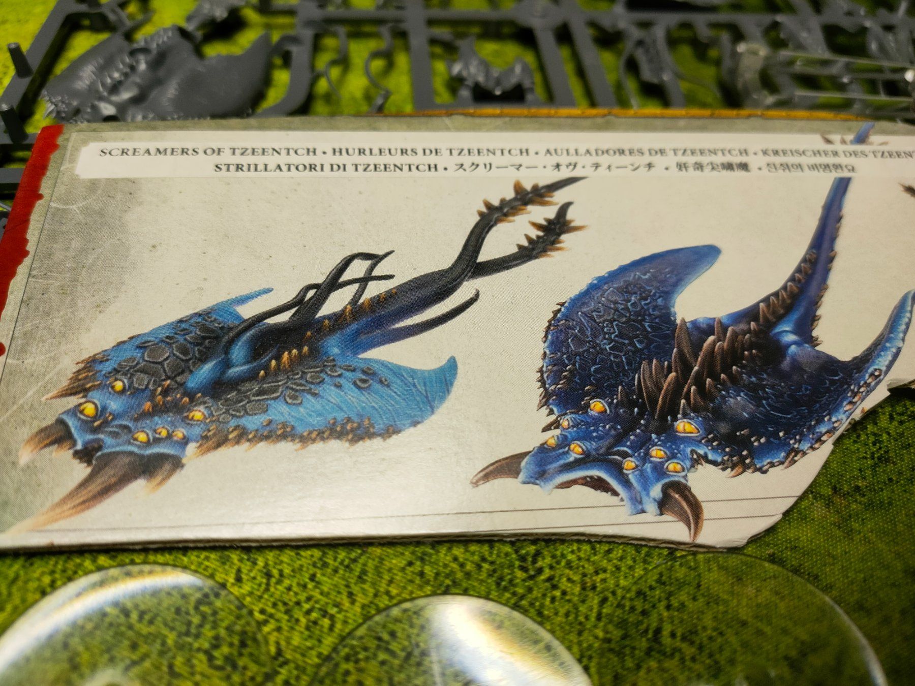 3x Screamers of Tzeentch AoS, Warhammer 40k, Demons of Chaos (Gebraucht ...