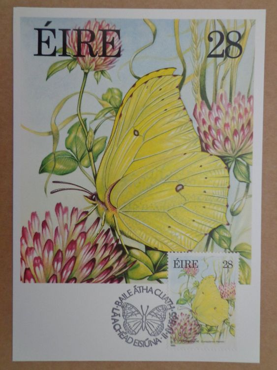 Maximumkarte MK 1985 Schmetterling/ papillon EIRE IRELAND (Neu (gemäss Beschreibung)) in Le ...