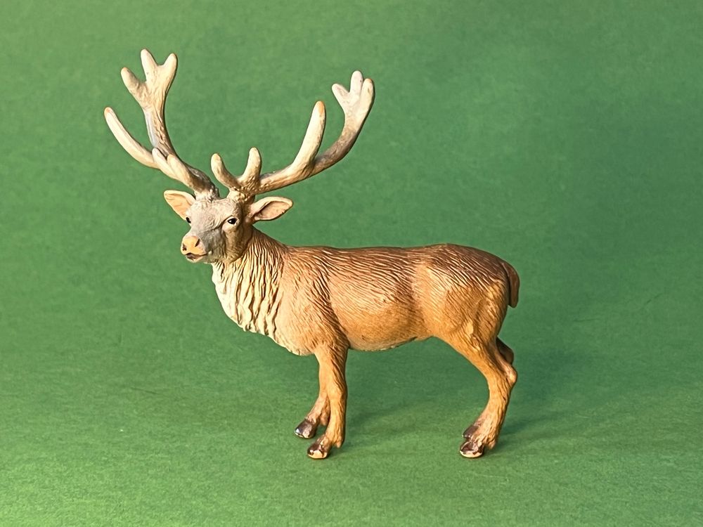 Schleich Hirsch (Gebraucht) in Ennetbaden für CHF 14 – mit Lieferung auf Ricardo kaufen