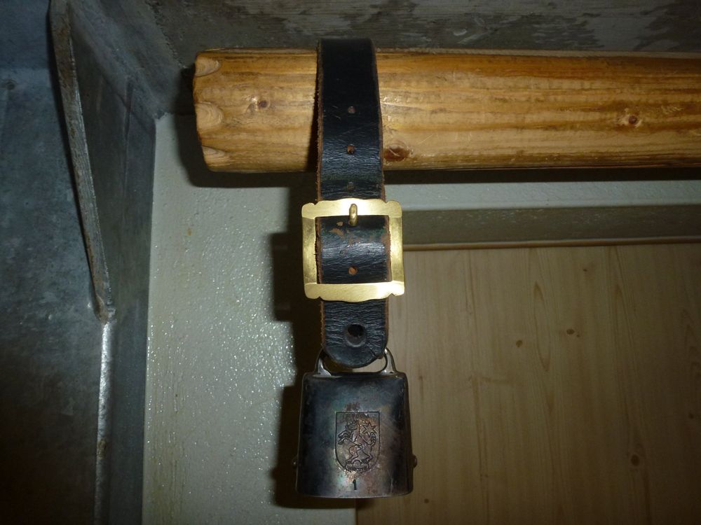 Fuchs Bissli (Gebraucht) in Bürglen UR für CHF 161 – mit Lieferung auf ...