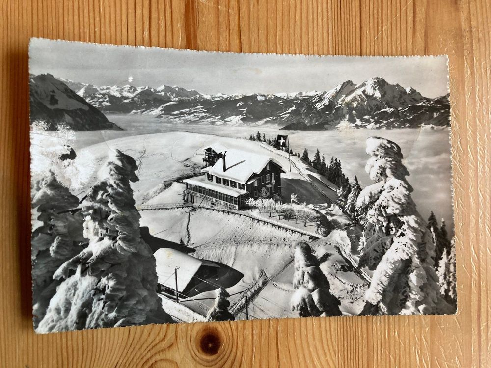 Rigi Staffelhöhe Edelweiss Ak 1950 Kaufen Auf Ricardo