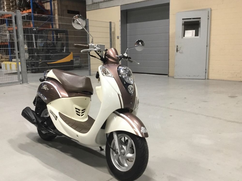Sym Mio 100 ab MFK (Gebraucht) in strengelbach für CHF 895 – nur ...