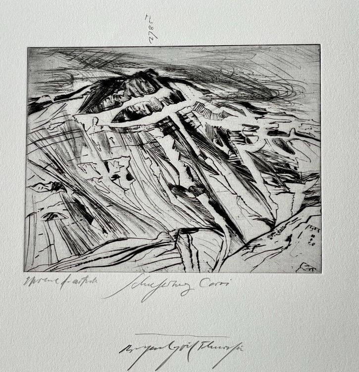 Lithographie - Bryan Cyril Thurston - signiert | Kaufen auf Ricardo