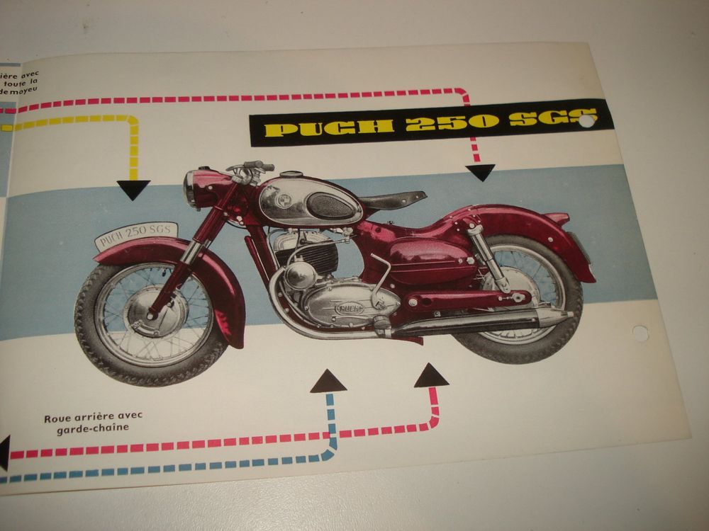 PUCH SGS 250 | Kaufen auf Ricardo