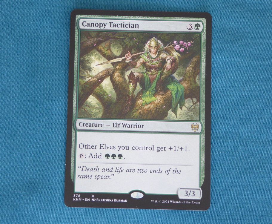 Canopy Tactician - MTG | Kaufen auf Ricardo