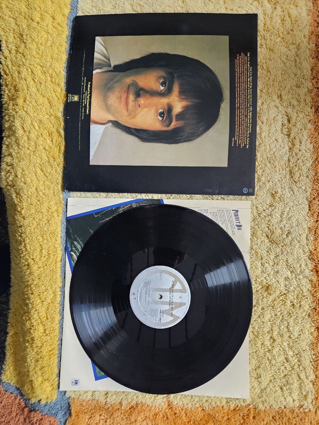 Chris de Burgh Schallplatte Lp - At the end of a perfect day (Neu ...