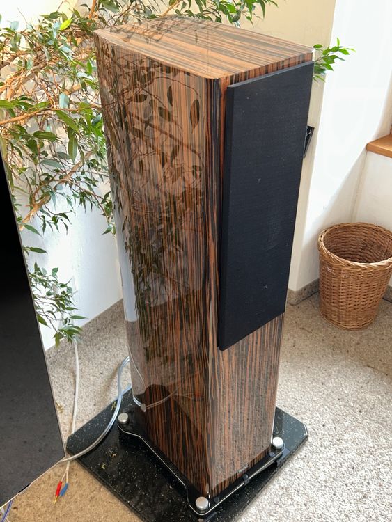 Magnat Signature 905 - Topzustand - super Tests - gematcht (Gebraucht ...