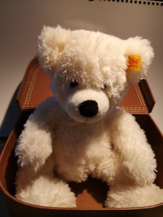 Steiff Bär weiss im Köfferchen | Kaufen auf Ricardo