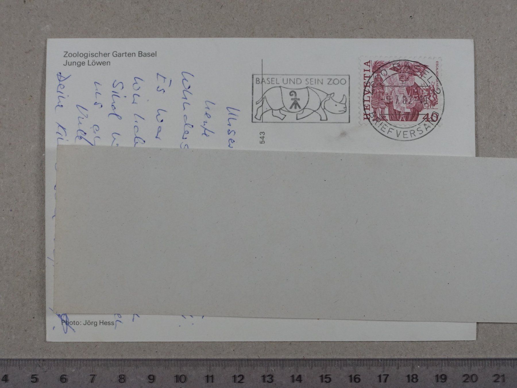 Zoologischer Garten Basel, junge Löwen, 1982 (Gebraucht) in Lenzburg ...