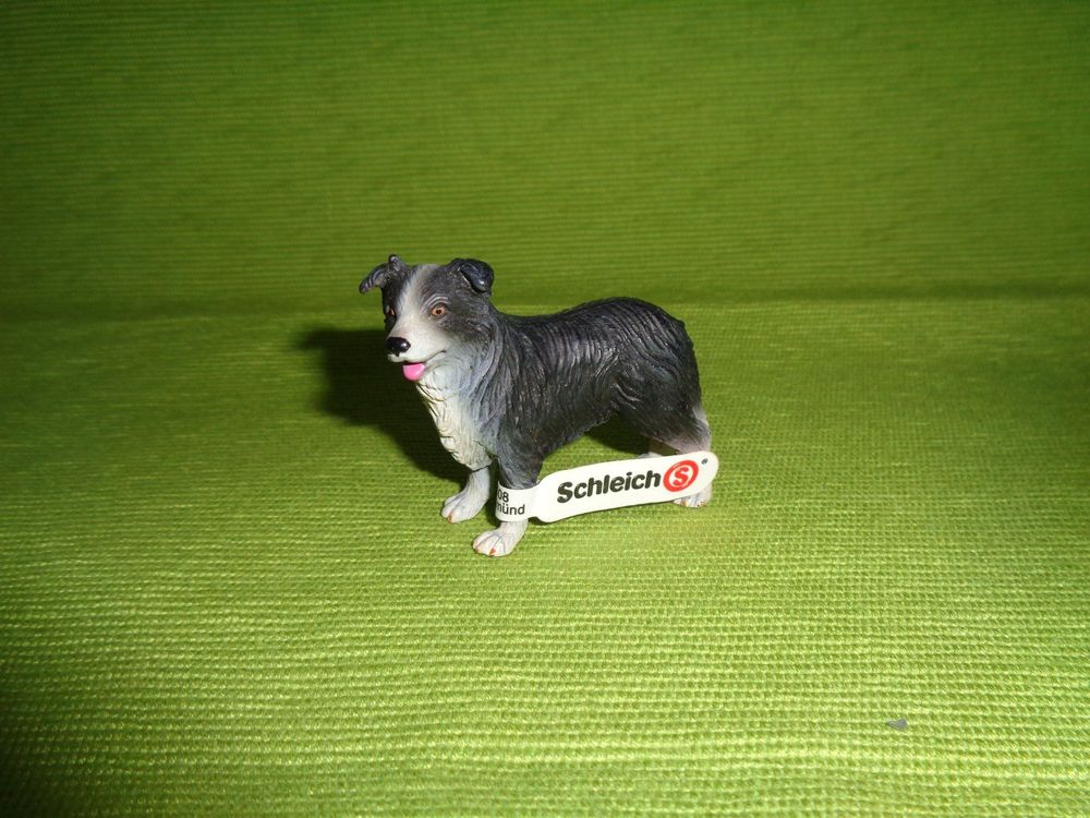 Schleich Border Collie 16330. (Neu (gemäss Beschreibung)) in Biel ...