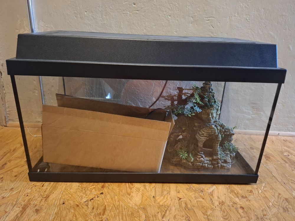 Aquarium 110L mit Zubehör, Occasion günstig abzugeben (Neu (gemäss Beschreibung)) in Romanshorn ...