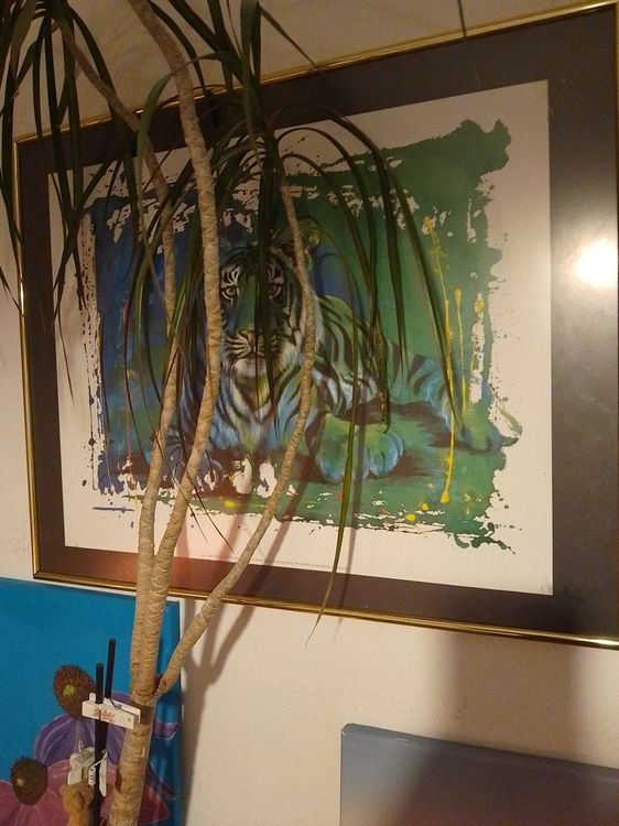 Bild Tiger, Rolf Knie (Gebraucht) in Weinfelden für CHF 56.8 – nur Abholung auf Ricardo kaufen