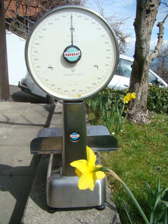 Superschöne Suprema Waage massiv super Qualität (Gebraucht) in ...