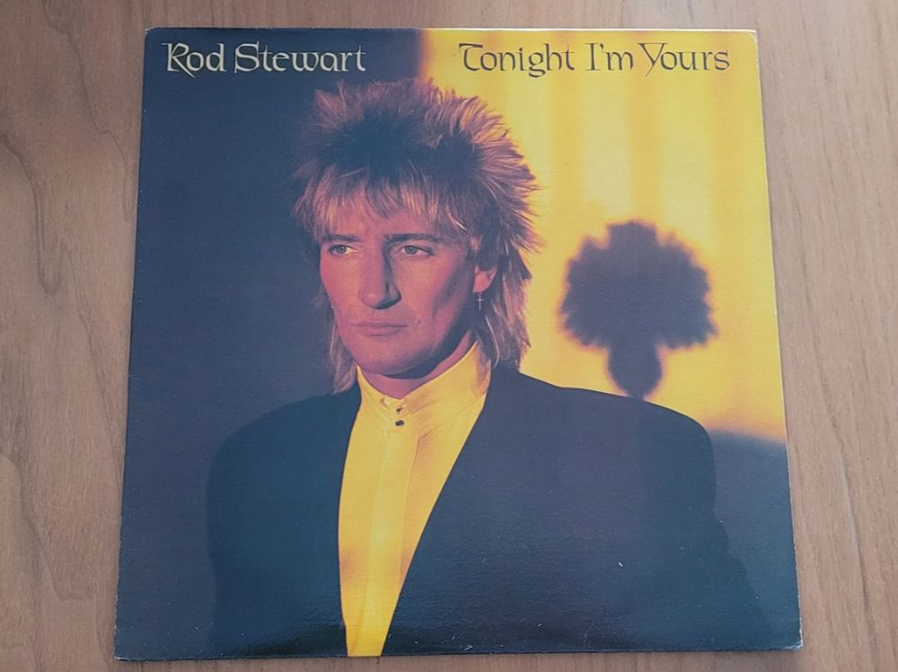LP Rod Stewart (Gebraucht) in Martigny für CHF 5 – mit Lieferung auf ...