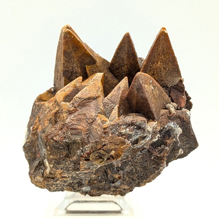 CALCIT, GROSSE skalenoedrische Kristalle, Sardinien (Nuovo (secondo la ...