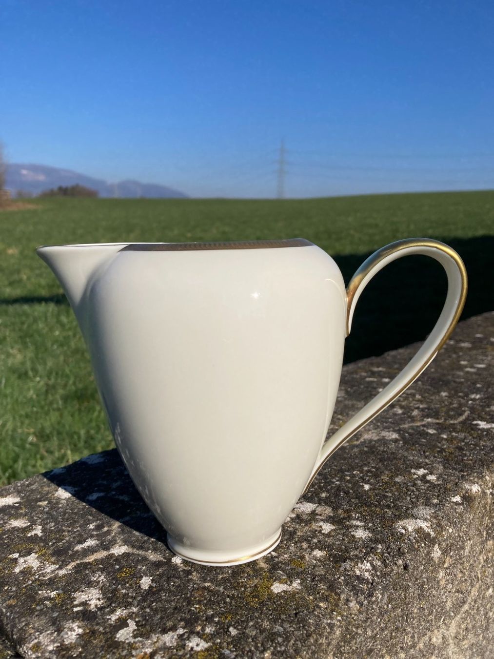 Bavaria Tirschenreuth Milchkrug Krug Inhalt 1000 Ml Gebraucht In