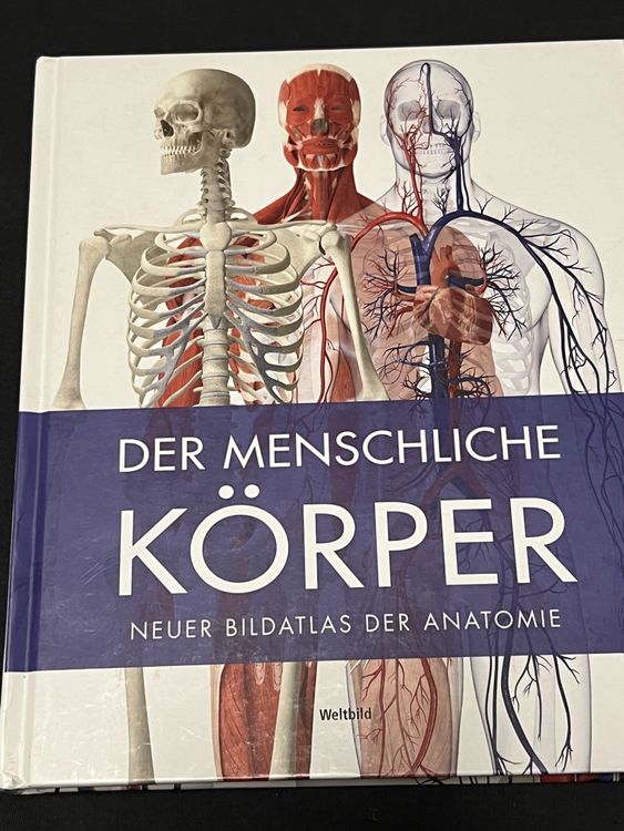 Neuer Bildatlas der Anatomie: Der Menschliche Körper Top! | Kaufen auf Ricardo