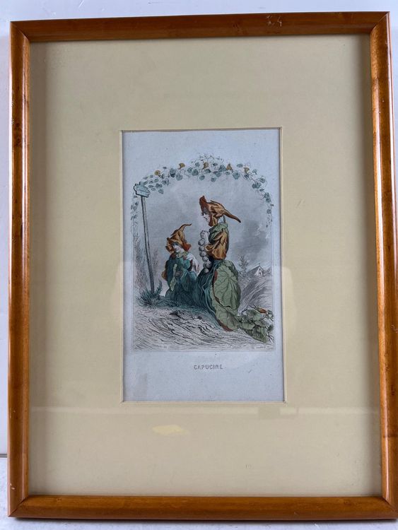 Capucine Altkolorierte Stich / Litho | Kaufen auf Ricardo
