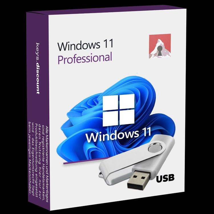 Windows 11 Professional Stick (Gebraucht) in Vaduz für CHF 29.9 – mit ...