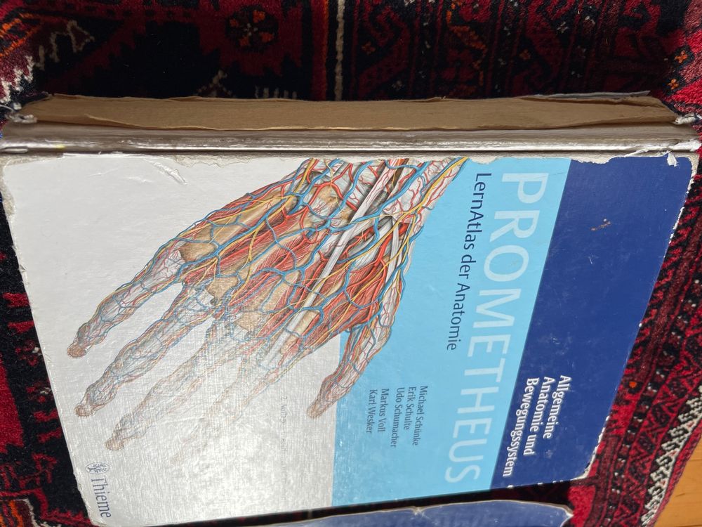Prometheus Anatomie Bewegungssystem (Gebraucht) in Mörschwil für CHF 5 ...