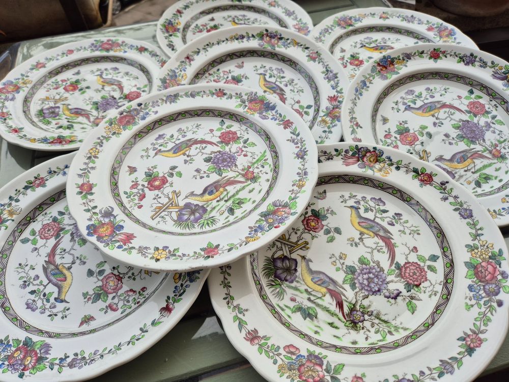8 Flachteller Copeland Spode rar (Gebraucht) in Bern für CHF 180 – mit ...