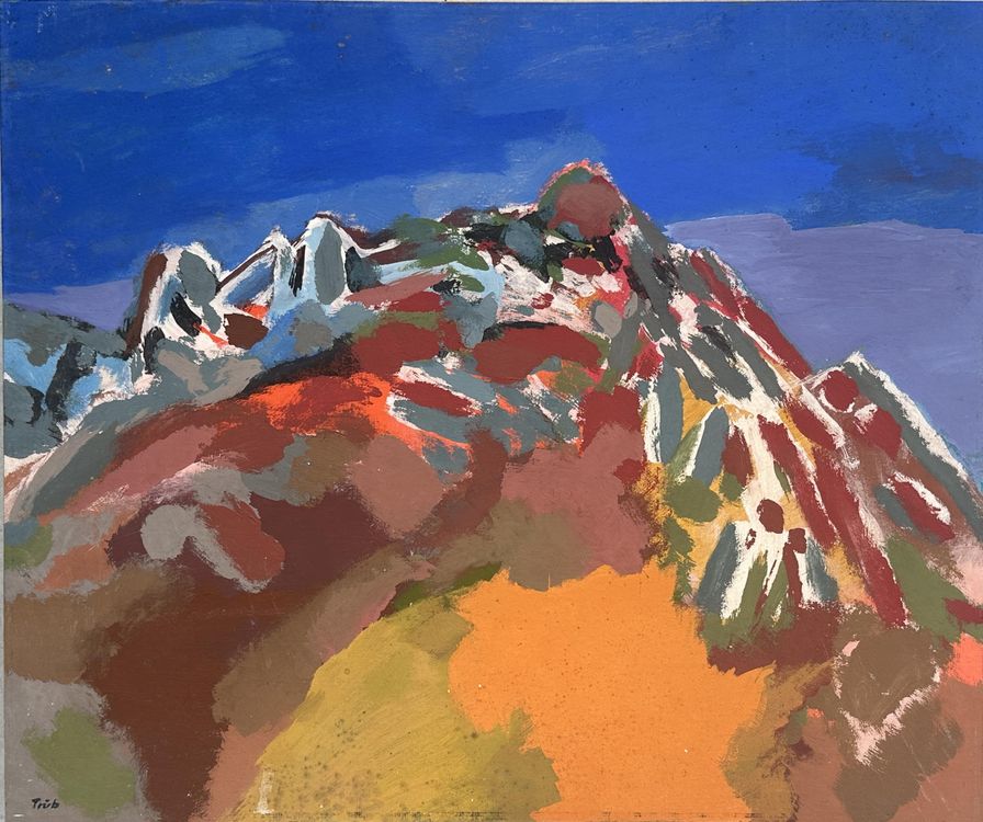 Charles Trüb - Swiss Art Selection (Gebraucht) in Sursee für CHF 170 ...